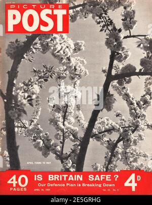 1949 Picture Post front cover Mercy Haystead Stock Photo - Alamy