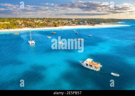 Aerial view of a beautiful palm tree forest leading to a sandy beach ...