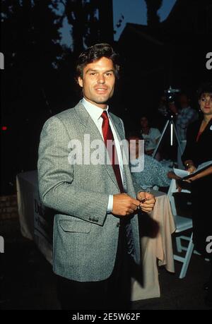 Harry Hamlin 1987 Credit: Ralph Dominguez/MediaPunch Stock Photo - Alamy