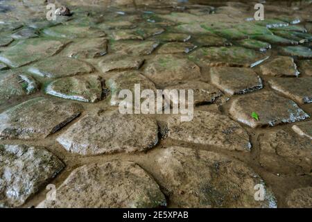 Cobblestones laid in unstructured pattern partially covered with moss ...