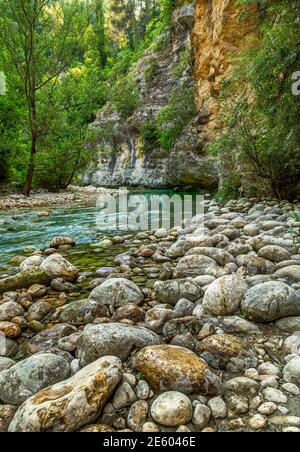 A small mountain stream flows into the river Lepena,Lepenatal,Slovenia ...