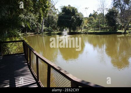 Horto Florestal Córrego Grande - Florianópolis SC Brazil Stock Photo ...