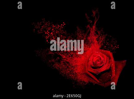 Red rose with smoke and hearts splash on a black background Stock Photo ...