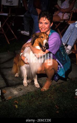 Lassie Credit: Ralph Dominguez/MediaPunch Stock Photo - Alamy