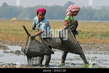 Women from the Tiwa tribe catch fish in a wetland at Dharamtul village ...