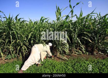River Nile, state of Sudan. High resolution satellite map. Locations ...