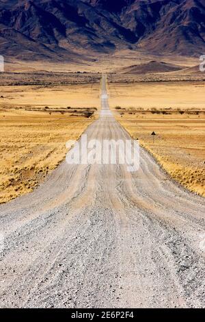deserted landscape of NamibRand Nature Reserve, Namibia, Africa Stock ...