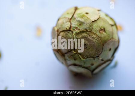 Still Life Abstract / Global Issues / Life / Nature concept - Macro of ...