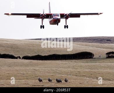FIGAS aircraft in Falkland Islands Stock Photo - Alamy