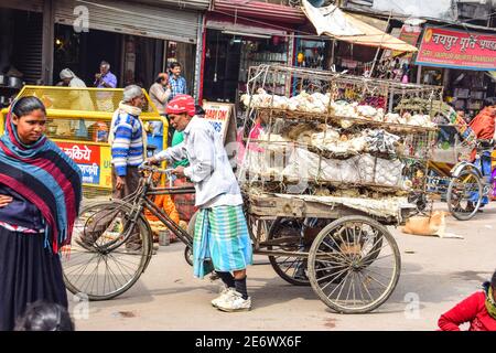 Tricycle Rickshaw, Chickens, Varanasi, India Stock Photo - Alamy