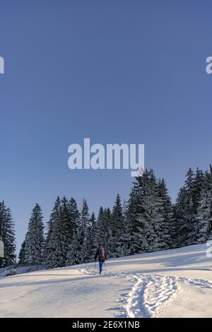 France, Haute Savoie, Evian country, Gavot country, Chevenoz, Bernex ...
