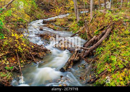 Niagara Escarpment Bruce Trail Autumn Waterfalls and Forest Stock Photo ...