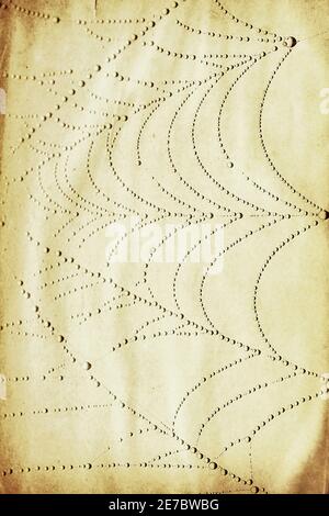 Spider on notebook paper Stock Photo - Alamy