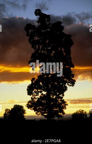 Willamette Valley sunset, Marion County, Oregon Stock Photo - Alamy