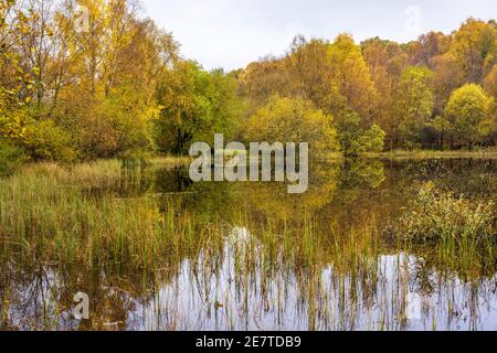The Lodge Forest Visitor Centre, Queen Elizabeth Forest Park, Aberfoyle ...