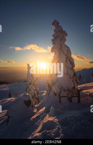 Winter landscape at sunset with colorful sky and clouds, plenty of snow ...