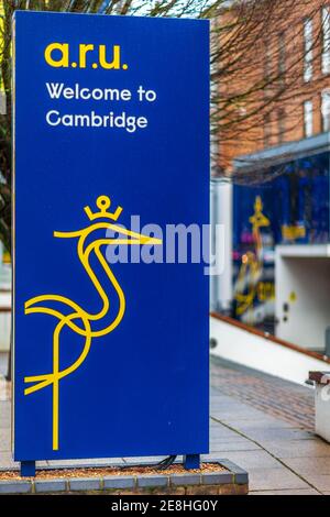 Anglia Ruskin University Cambridge ARU - Young Street Site / Campus ...