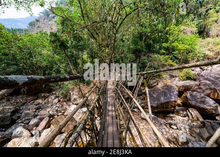 Living Root Bridge, Sohra or Cherrapunjee, Meghalaya, India Stock Photo ...
