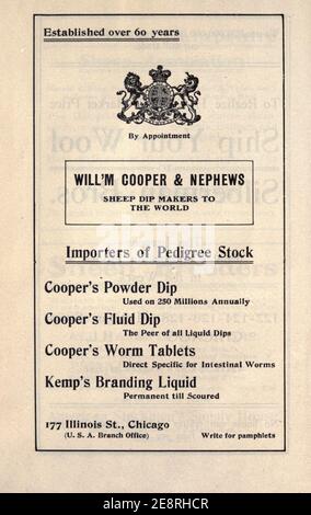 Modern sheep, breeds and management Stock Photo - Alamy