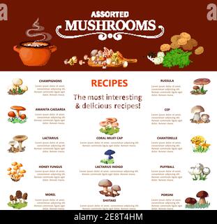 Assorted mushrooms infographics flat layout with visual information ...