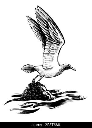 Flying seagull. Ink black and white drawing Stock Photo - Alamy