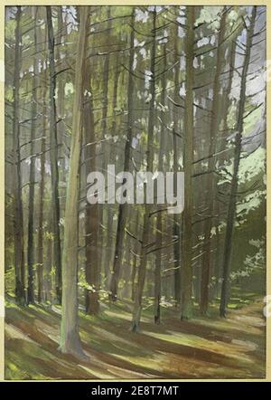 Morgan Colt Untitled 1905 Stock Photo - Alamy