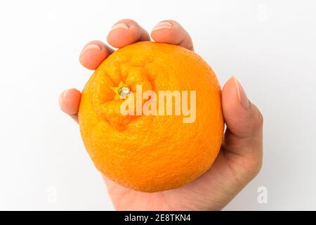 Jeju Island Citrus Hallabong on white background Stock Photo - Alamy