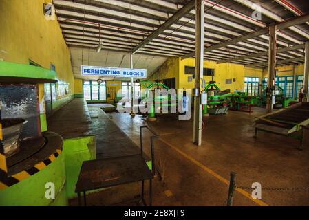 Interior of the Damro Tea factory in Sri Lanka Stock Photo - Alamy
