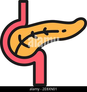 Pancreas icon. Outline pancreas vector icon for web design isolated on ...
