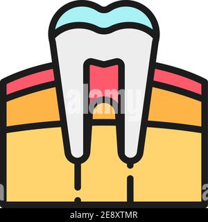 Gum anatomy icon line isolated on white background. Black flat thin ...
