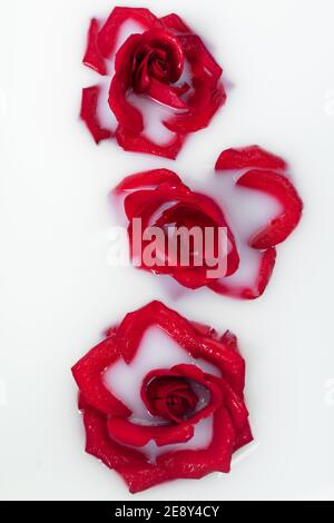Top view shot of red roses - Valentine's Day concept Stock Photo - Alamy