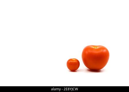 tomatoes, size comparison, tomato, compare, comparison, comparisons ...