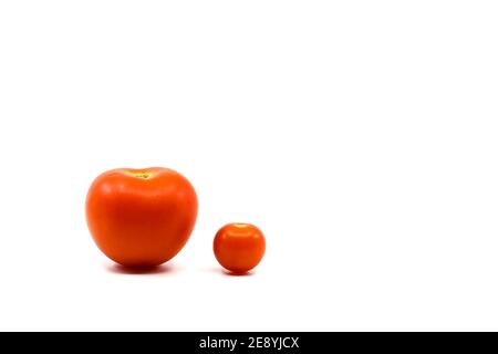 tomatoes, size comparison, tomato, compare, comparison, comparisons ...