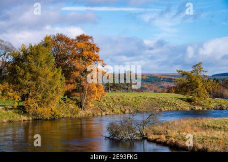 The River Gaur, Highland Perthshire, Scotland Stock Photo - Alamy