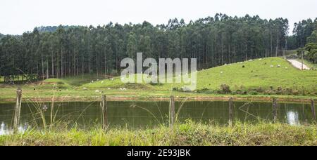 Rural landscape in southern Brazil Stock Photo - Alamy