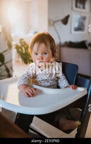Toddler Sitting in a High Chair in a Modern Kitchen at Home Stock Photo ...