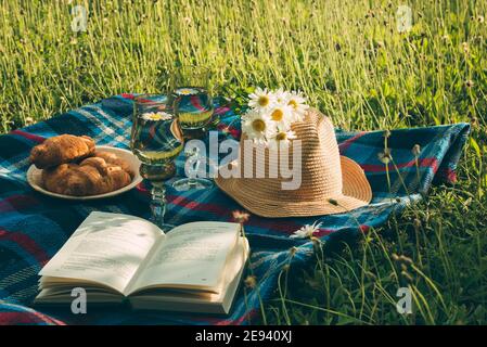 French style summer picnic with chamomile and croissants on a checkered ...