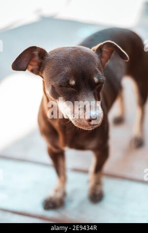 Photo of intelligent cute funny smiling girl wear orange sweatshirt ...