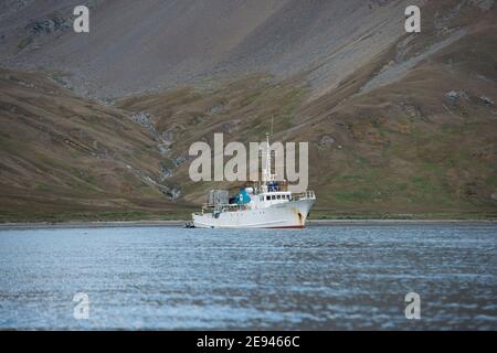 Cruise and charter ship MV Braveheart in Ocean Harbour South Georgia ...