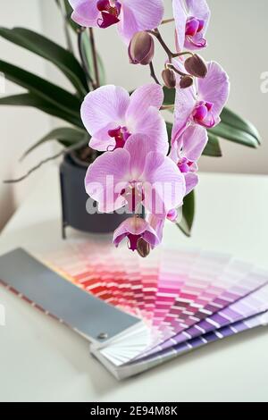 Color wheel palette for choosing paint tone. Various colors on wooden ...