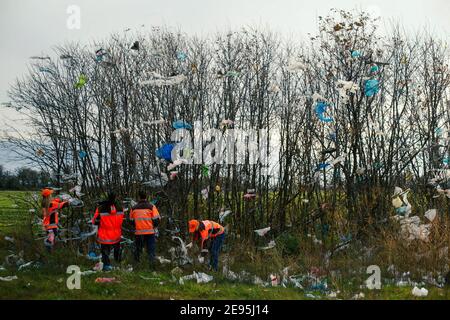 Garbage bags spread across the field and trees Stock Photo - Alamy