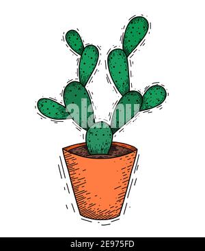 Cactus in a clay pot. Exotic plant. Seamless pattern. Vector ...