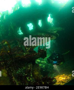 A diver illuminates part of the block ship Tabarka in Burra Sound ...