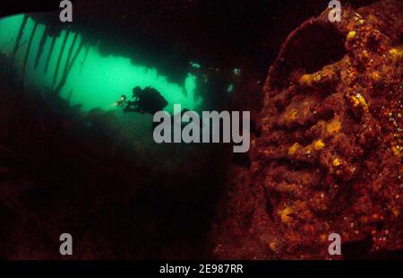 A diver illuminates the boilers of the block ship Tabarka in Burra ...