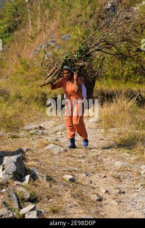 People of Far-West Nepal celebrating a "Chhaithi performing a deuda ...