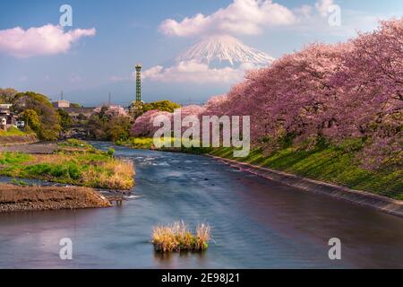 View of Mount Fuji with Uruigawa River at Ryuganbuchi, Shizuoka, Japan ...