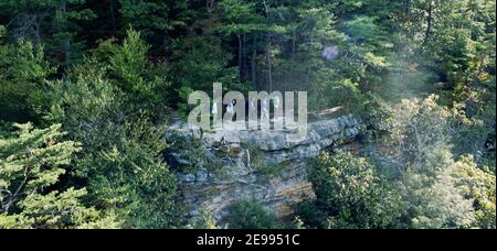 WRONG TURN, Adrian Favela, 2021. © Saban Films /Courtesy Everett ...