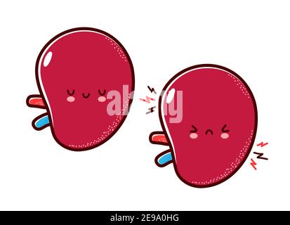 Pancreas kawaii healthy character with smile. Drawing of a healthy ...