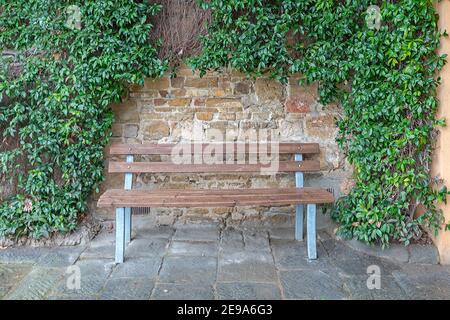 Hidden Wooden Bench at Wall Covered With Vegetation Stock Photo - Alamy
