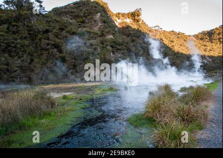 Warbrick terraces at Waimangu volcanic valley in New Zealand Stock ...